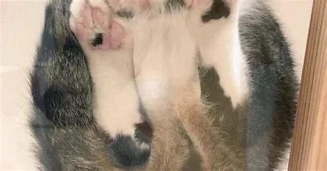 Beans Album On Imgur