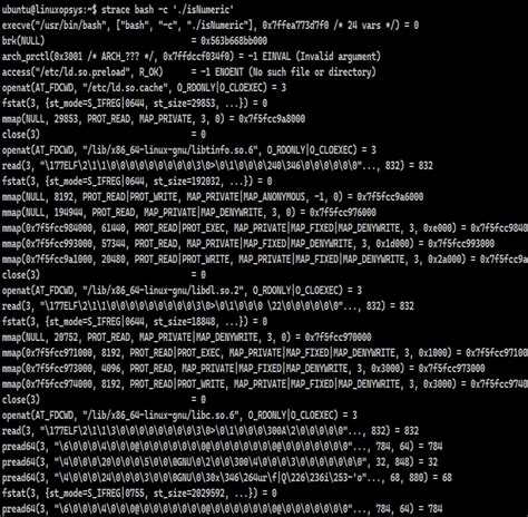 Meaning Of Shebang In Bash Scripts
