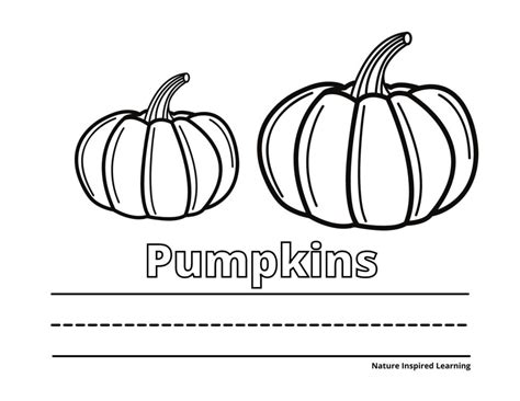 Mini Pumpkin Coloring Pages [2025]