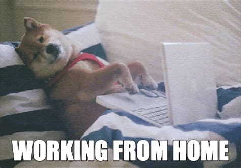 Working Remotely S Get The Best  On Giphy
