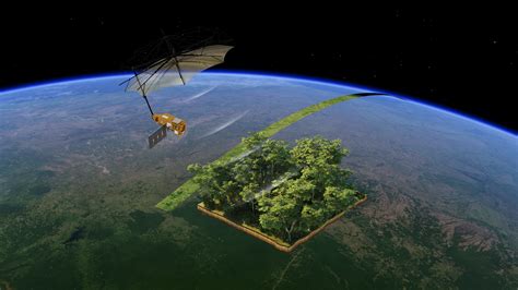 Esa Seeing The Wood Through The Trees