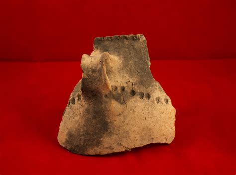 Фрагменти лонца НАРОДНИ МУЗЕЈ ПАНЧЕВА