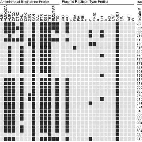 Pfge Based Dendrogram Resistance Profile Replicon Typing Isolate