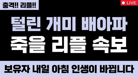 리플 충격입니다 털린 개미 배아파 죽을 리플 소송 긴급 속보 Xrp 보유자 내일 아침 인생이 바뀝니다 리플 리플코인 리플