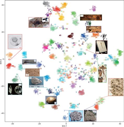 feature visualization of the feature maps extracted from the final
