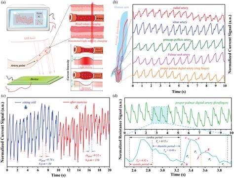 Applications Of Transmissive Type Artery Pulse Monitoring And Cardiac Download Scientific