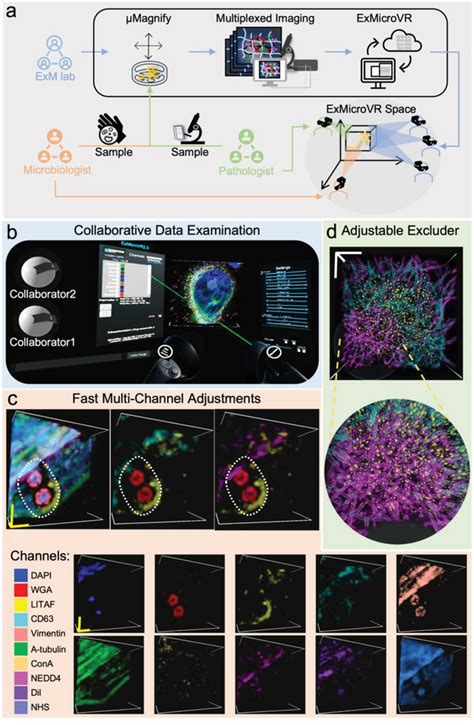 immersive visualization of multiplexing data and collaboration through