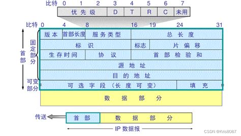 ip报文格式 ip 报文格式 csdn博客