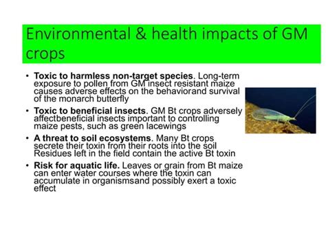 Applications Of Genetic Engineering Techniques In Agriculture Byb Devadatha Pptx