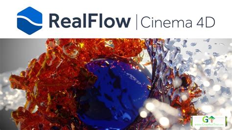 Realflow Software