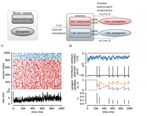 modeling of neurons and synapses a in brian 2 neurons and synapses are