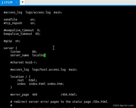 Nginx教程（持续更新中~）