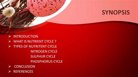 Nutrient Cycle Pptx