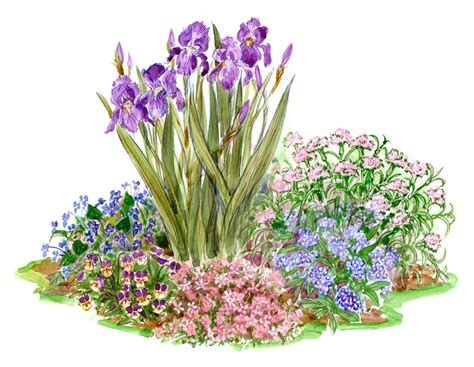 Spring Flower Garden Clip Art