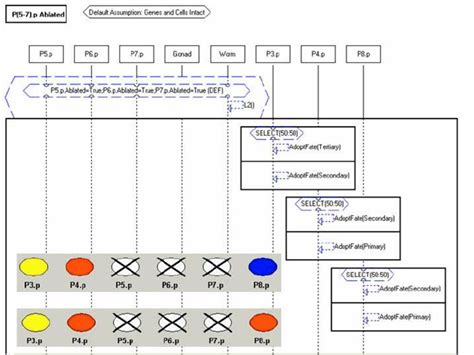representing non deterministic events the results of two consecutive