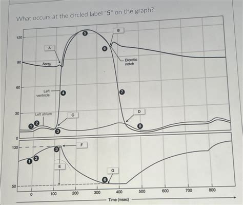 Solved What Occurs At The Circled Label 5 ﻿on The Graph