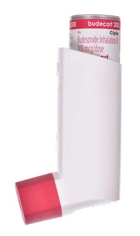Budesonide Inhaler 200 Prescription Treatment Asthma At Rs 138 Piece In Surat