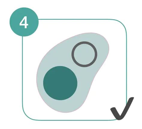 Gene Cloning Definitions Steps Procedure Applications And