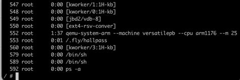 sshing into a machine shows a different terminal than running docker