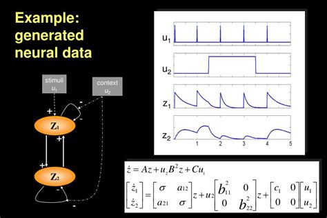 Ppt Functional Integration And Dynamic Causal Modelling Dcm