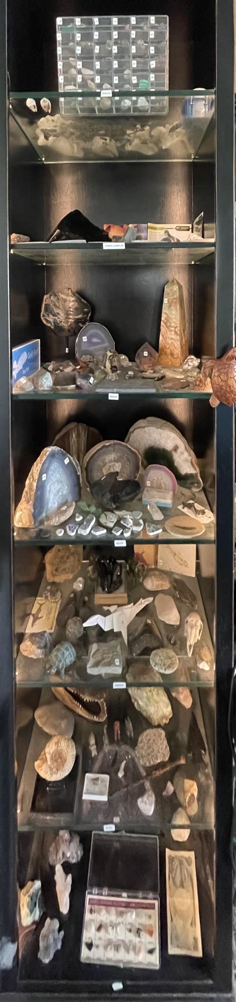 My Full Collection R FossilPorn