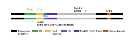 9 Reads To Counts Orchestrating Spatial Transcriptomics Analysis With Bioconductor