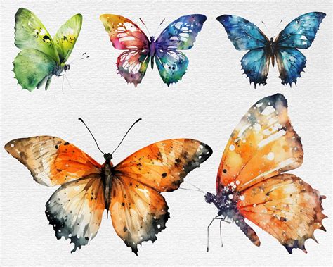 Watercolor Butterfly Clipart Butterflies Illustration Set Png Fantasy