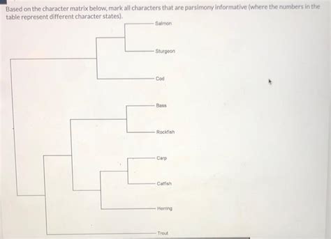 Solved Based On The Character Matrix Below Mark All