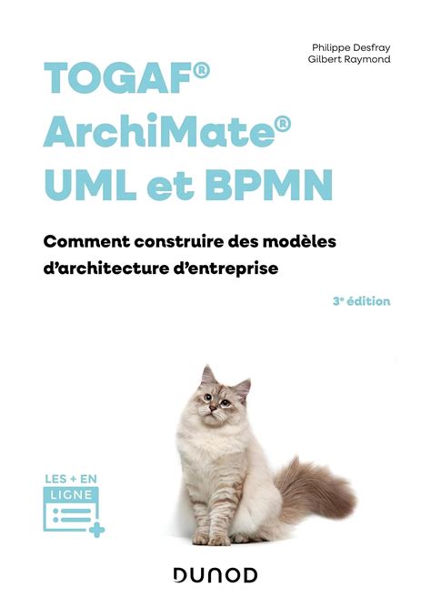 Togaf Archimate Uml Et Bpmn 3e éd Desfray Philippe Raymond