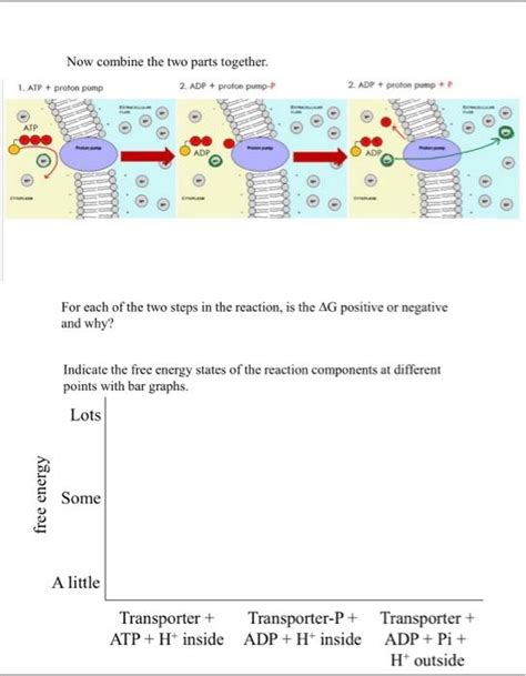 Solved PART Consider Substrate Level Phosphorylation Chegg