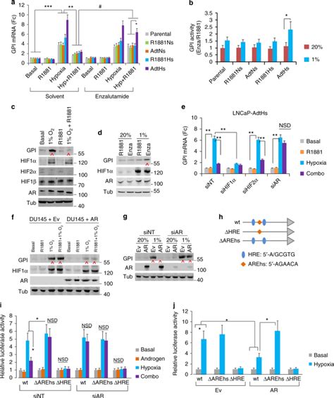 Interplay Between Hypoxia And Androgen Controls A Metabolic Switch Conferring Resistance To
