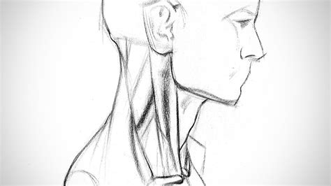 Proko Neck Assignment Example 5 Proko Neck Assignment Example 5