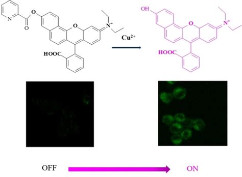 A Colorimetric And Long‐wavelength Turn‐on” Fluorescent Probe For Copper Ions Detection With