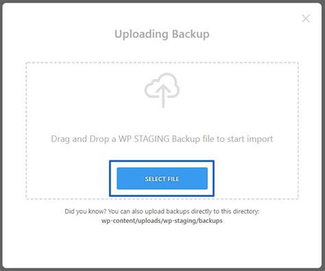 How To Backup And Restore Wordpress • Wp Staging