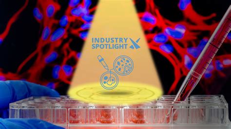 Metabolic Modelling And Machine Learning Technologies In Cell And Gene Manufacturing