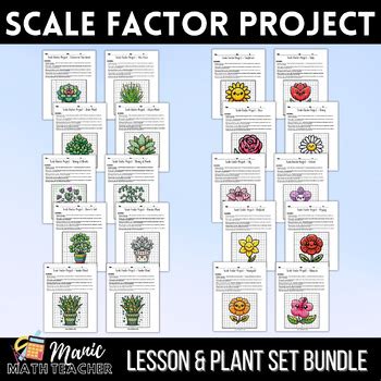 Grid Method Scale Factor Project Lesson And Plant Set Bundle TPT