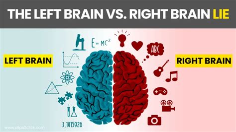 Debunking The Right Brain Vs Left Brain Myth Unlocking Your Mind S Full Potential