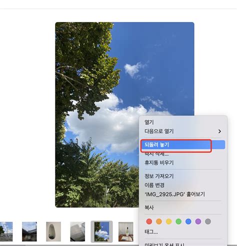 Mac에서 휴지통을 비운 후 삭제된 파일을 복구하는 방법 Easeus