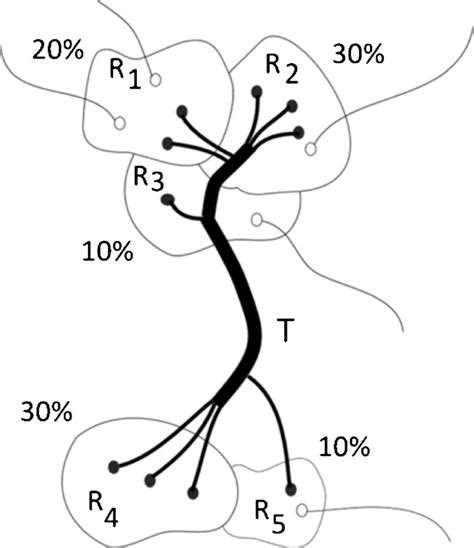 Definition Of Cortical Rois Related To Each Tract Thickness Of