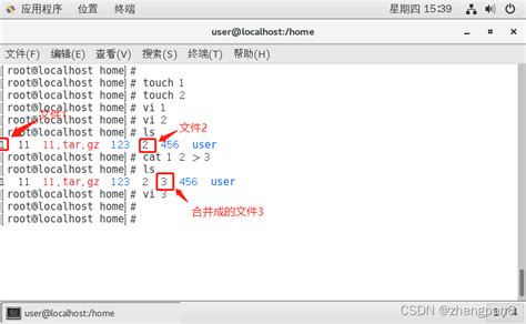 Linux的基础命令anaconda Kscfg Initial Setup Kscfg Csdn博客