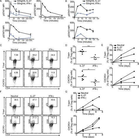 Ifn γ And Il 27 Have Distinct Effects On Treg Cells Download Scientific Diagram