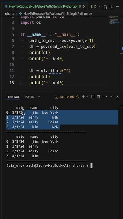 How To Replace Null Values In Dataframes Python Youtube