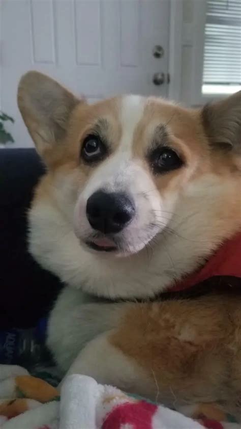 Our Submission Scrolller