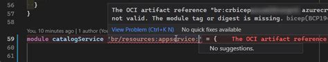 Intellisense For Bicep Registry Modules Names And Versions Issue Azure Bicep GitHub