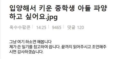 입양해서 키운 중학생 아들을 파양하고 싶습니다