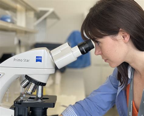 Per Cent Of KTU Female Babes Study In Technology Degrees Kaunas University Of Technology