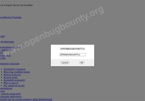 Parconazionale5terreit Cross Site Scripting Vulnerability Obb 3844803