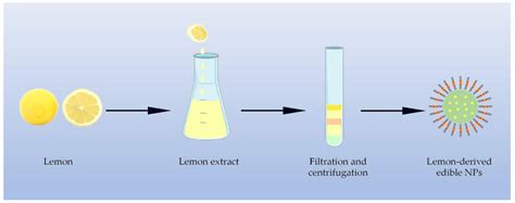 Phytofabrication Of Nanoparticles As Novel Drugs For Anticancer Applications