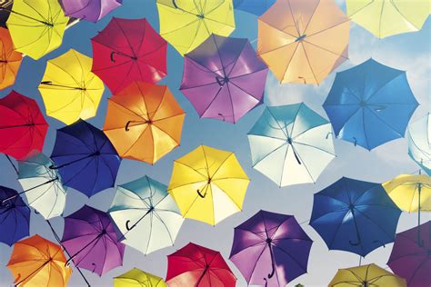 Using Statistical Modelling To Understand Cell Heterogeneity