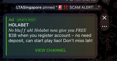 Desmond Lim Says SDA Is Not Fly By Night Party Urges Pasir Ris Changi Residents To Give Us